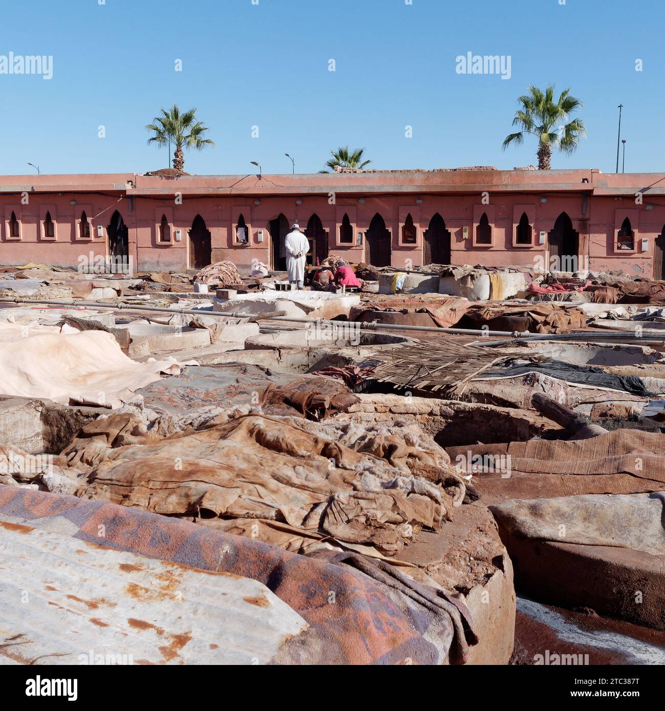 Tannery in the city of Marrakesh aka Marrakech with Mosque in the ...