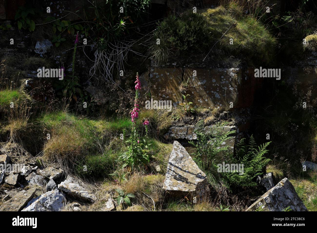 Bland colours hi-res stock photography and images - Alamy