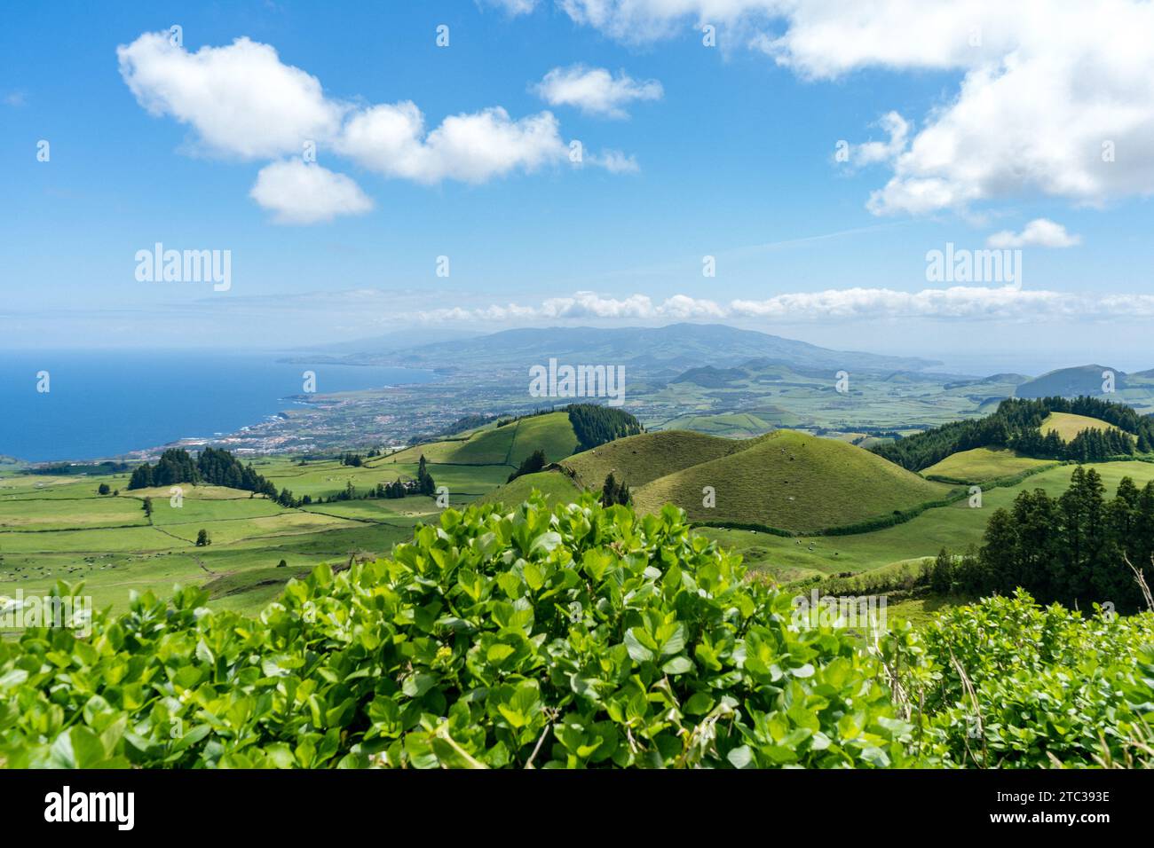 Azores landscape: expansive green fields leading to small mountains ...