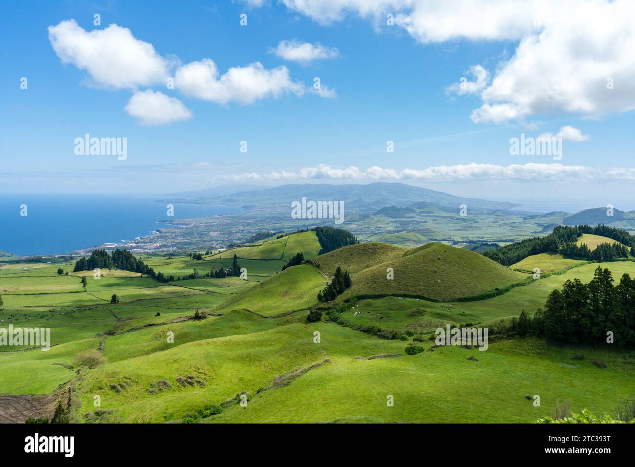 Expansive greenery hi-res stock photography and images - Alamy