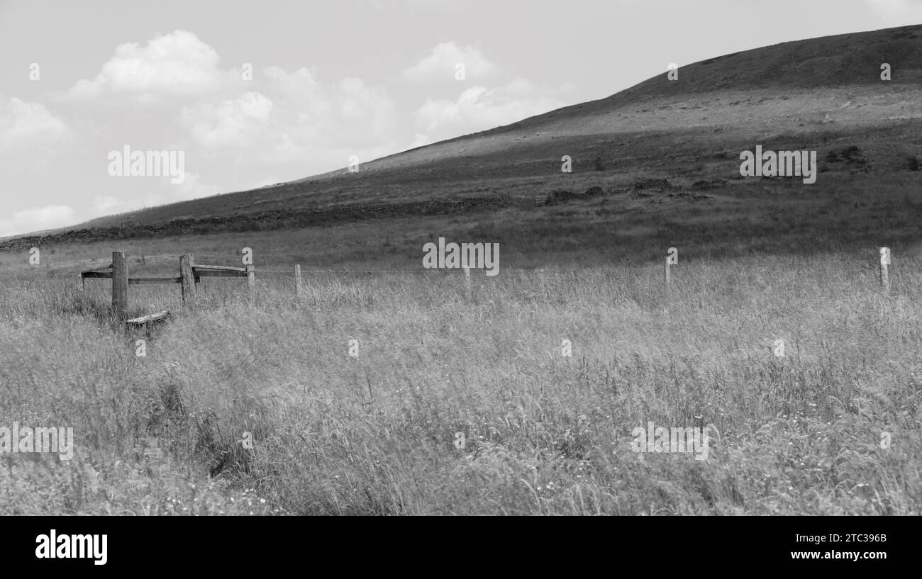 Tight angle used for effect metaphor of life sunlight, shade ...