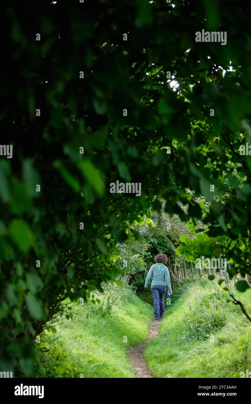 The Poetry Path Kirkby Stephen.12 stones, carved by the artist Pip Hall ...