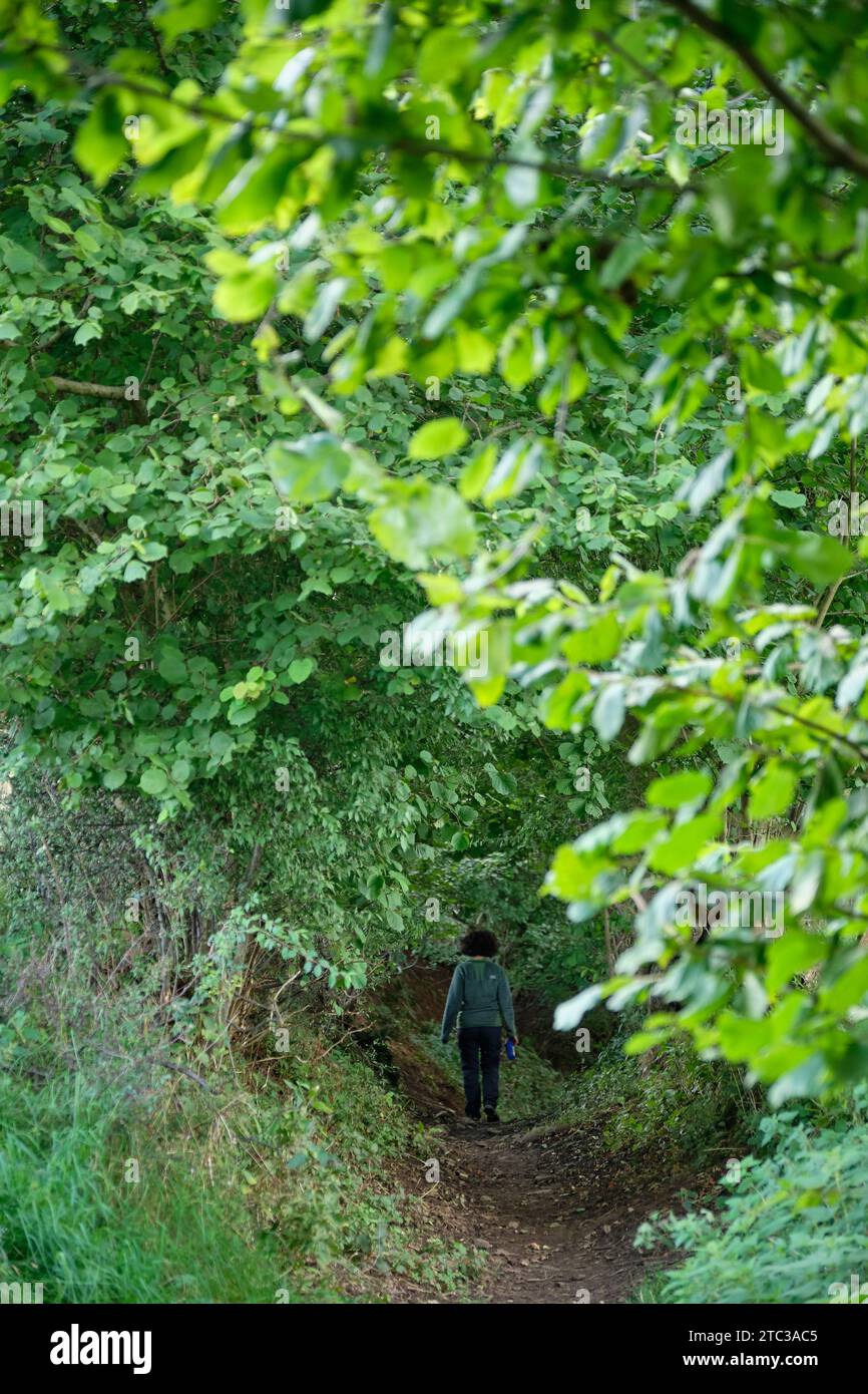 The poetry path kirkby stephen hi-res stock photography and images - Alamy
