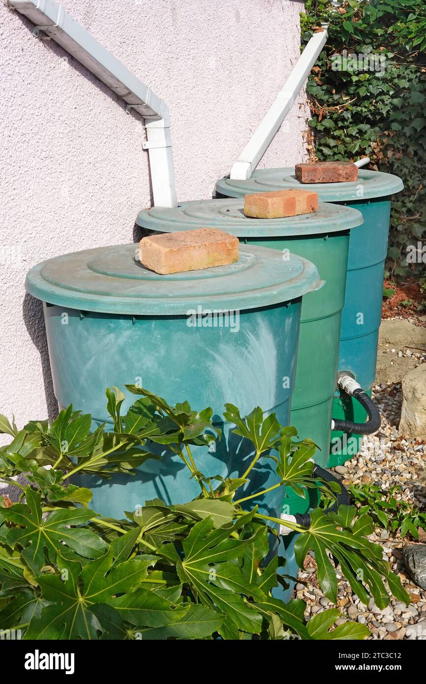 Water butts line of three interconnected joined together plastic garden ...