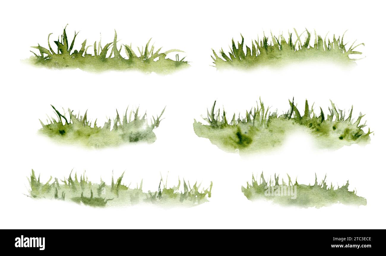 Set of watercolor grass. Hand drawn light green withered herb pattern ...