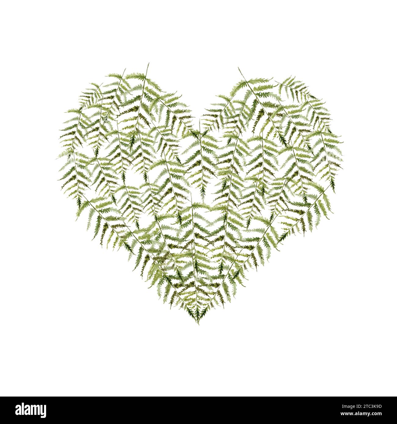 Fern leaves heart hi-res stock photography and images - Alamy