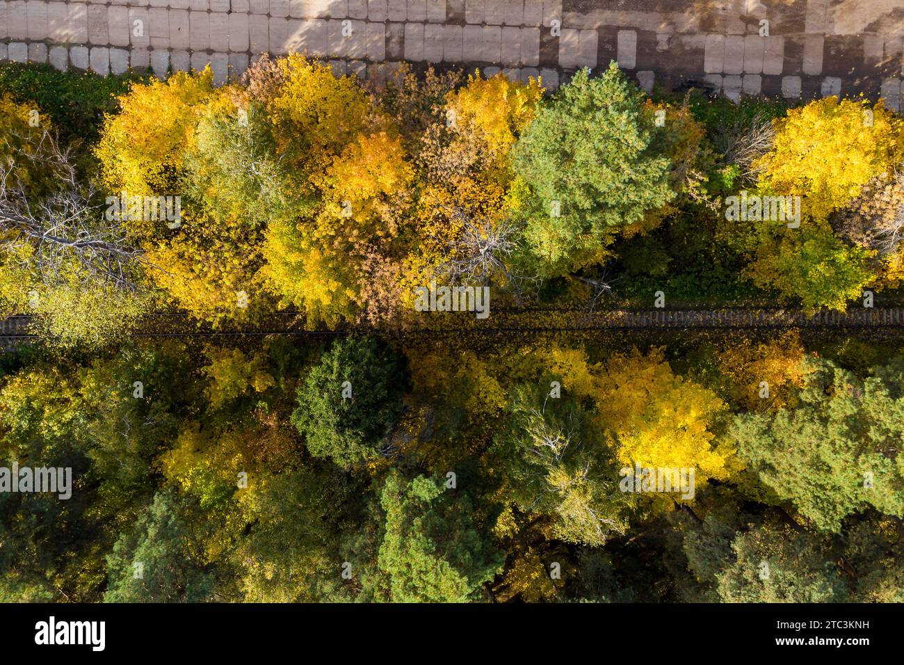 Running through trees hi-res stock photography and images - Alamy
