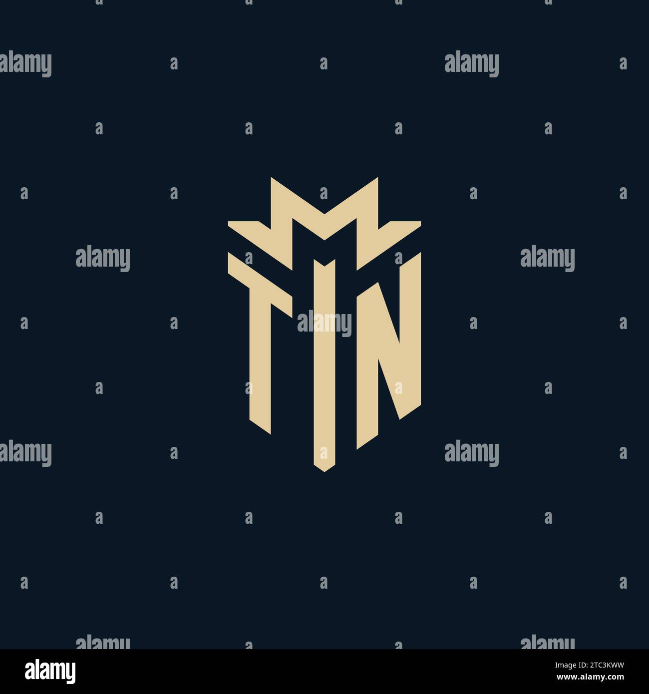 TN initial for law firm logo, lawyer logo, attorney logo design ...