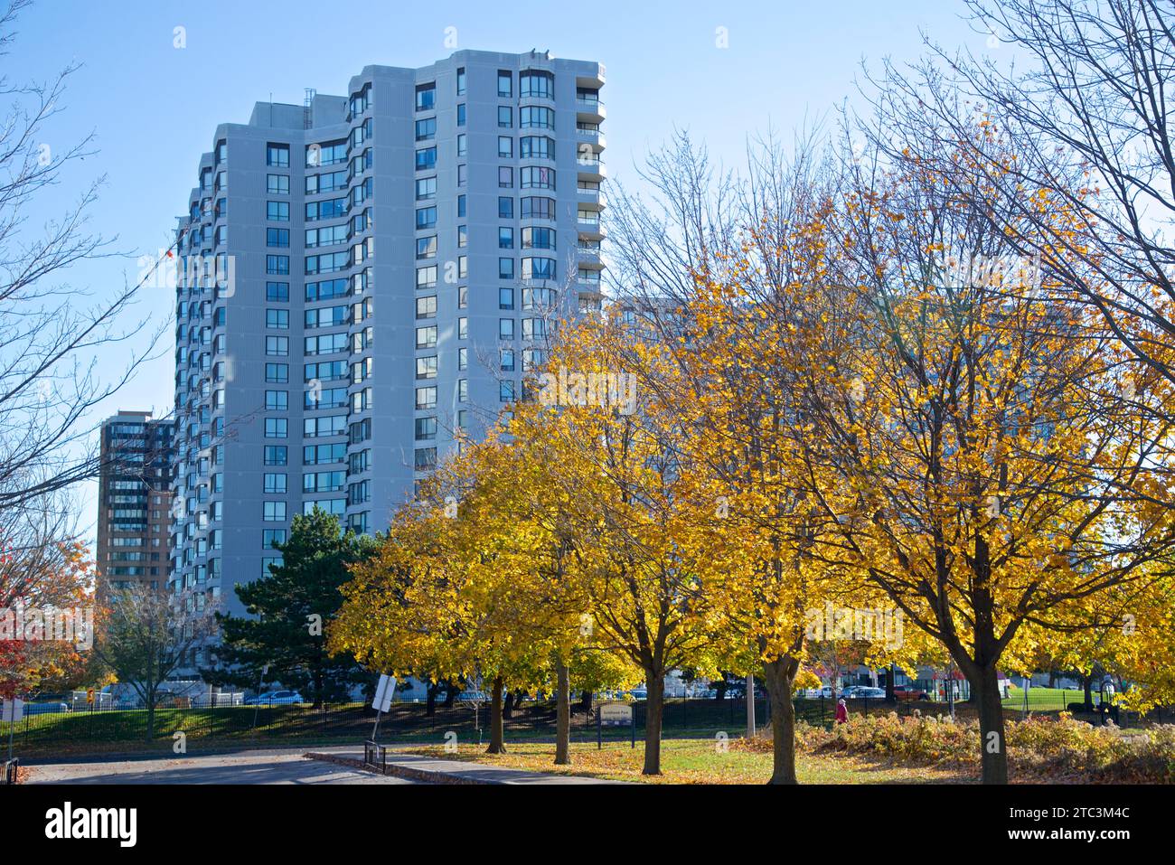 Autumn leaf colour in a public park with an apartment building in the ...