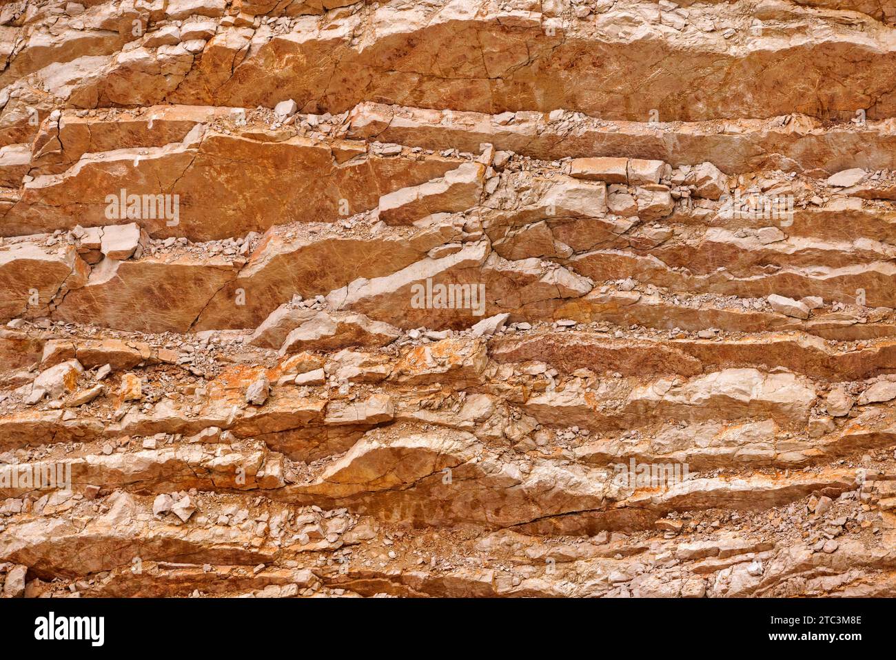 Rock layers fossil hi-res stock photography and images - Alamy