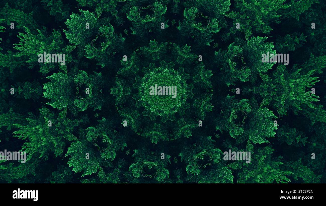 Nature kaleidoscope green mandala forest foliage Stock Photo - Alamy