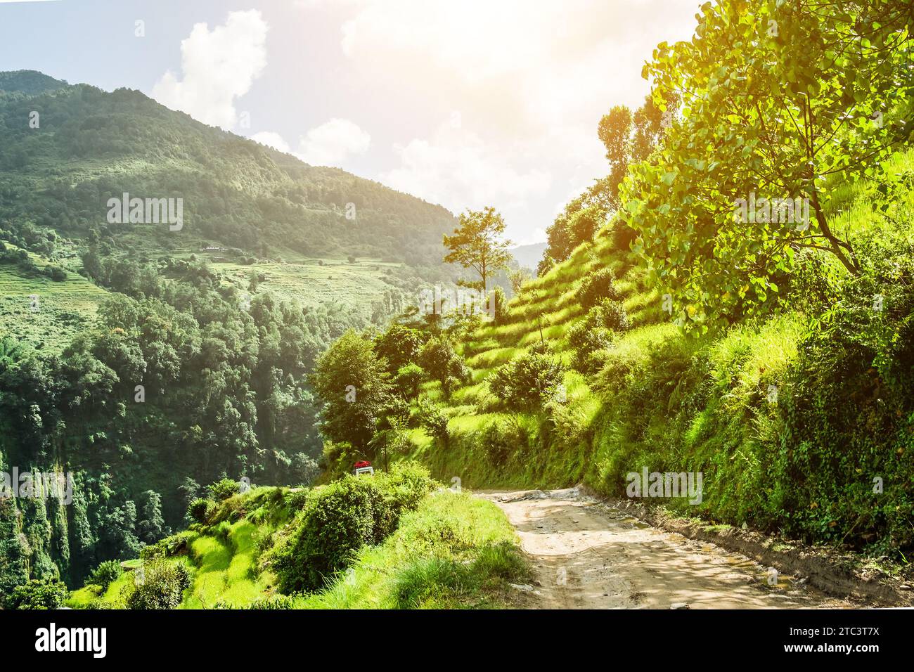 Bright green nature scenery of mountains in Nepalese Himalayas Stock ...