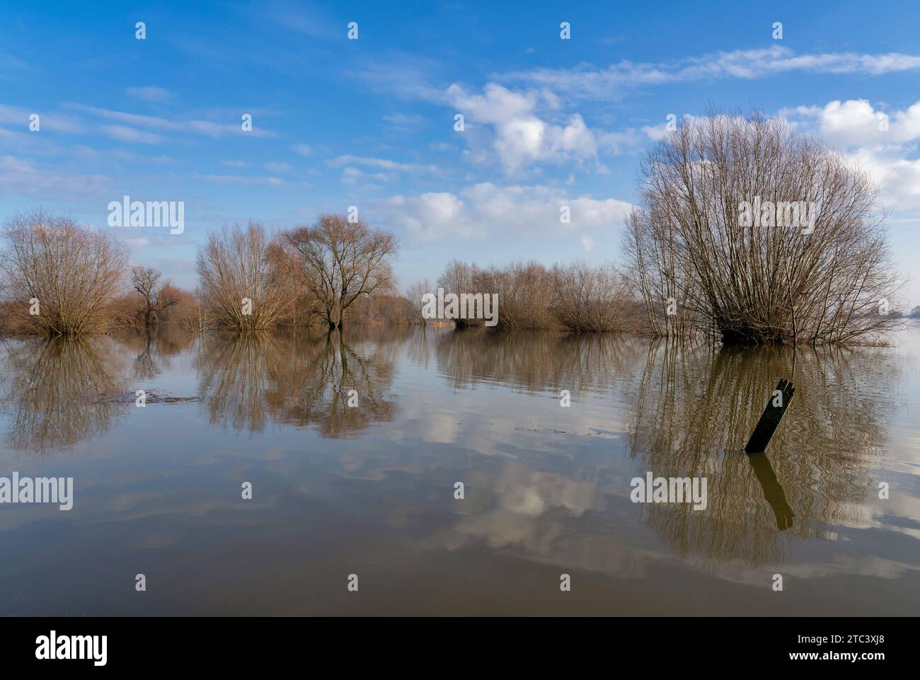 Floodplain netherlands hi-res stock photography and images - Alamy