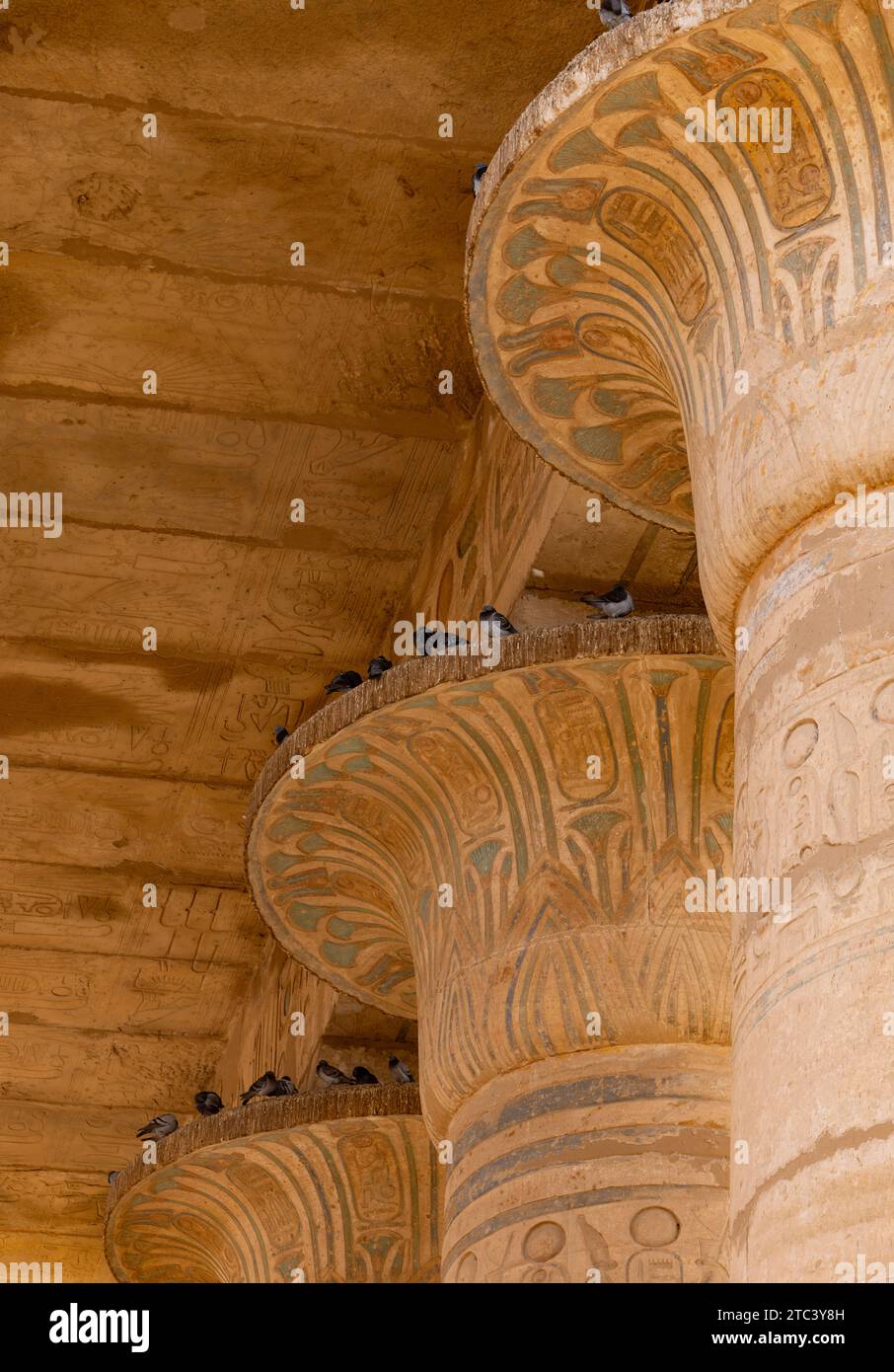 Mortuary temple of pharaoh ramesses ii hi-res stock photography and ...