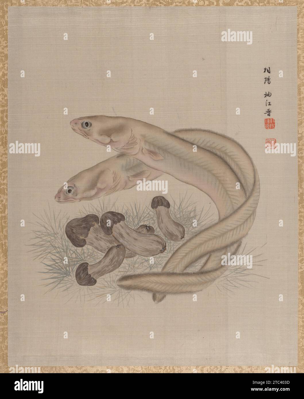 Shuko hi-res stock photography and images - Alamy