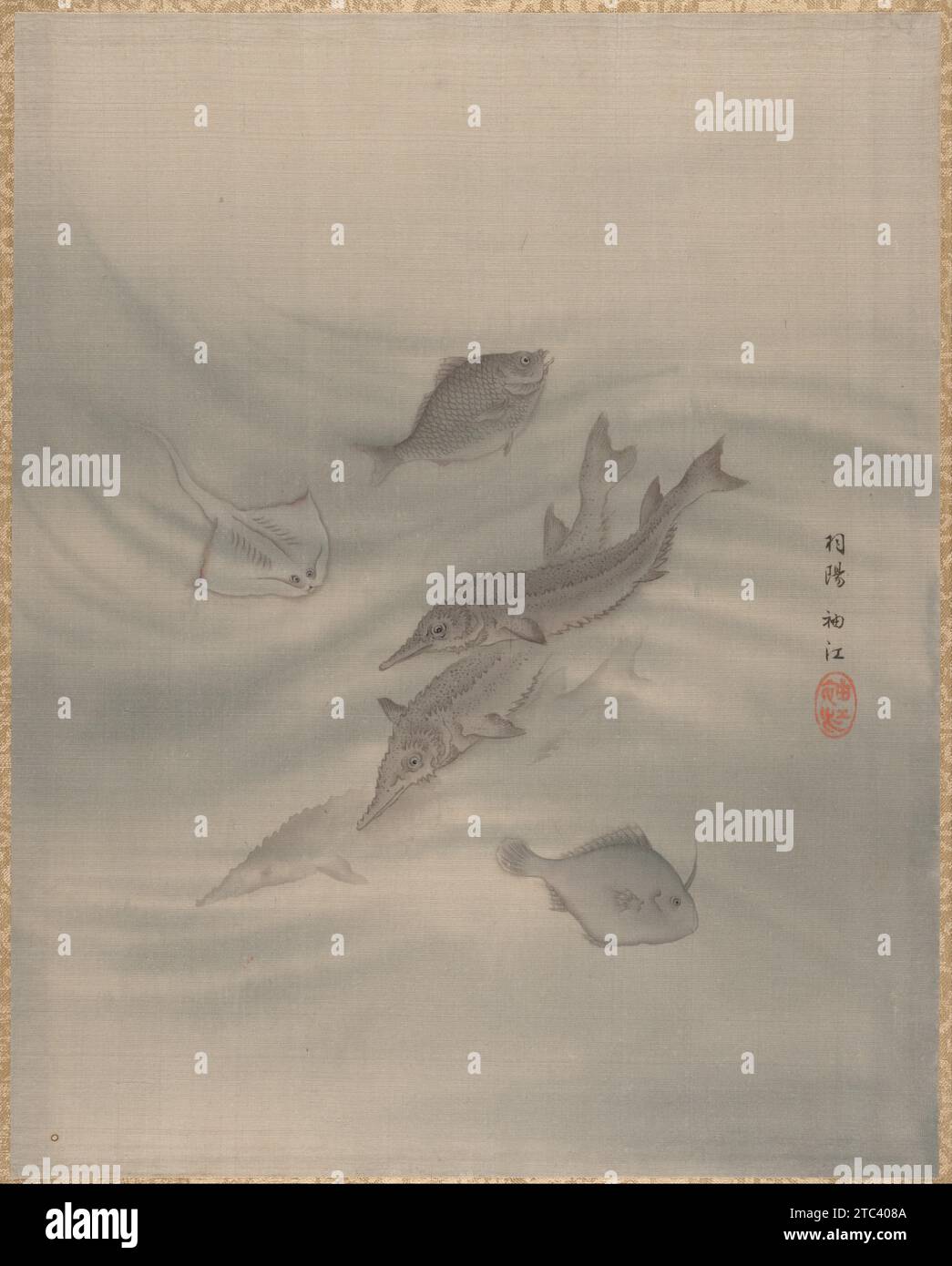 Shuko hi-res stock photography and images - Alamy