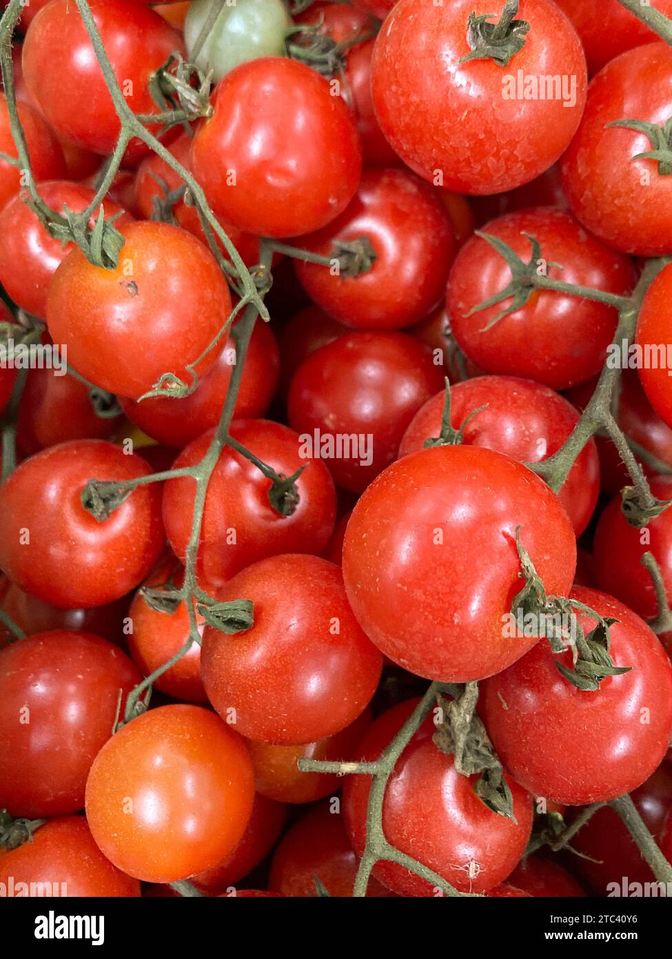 Fresh organic tomatoes seen up close Stock Photo - Alamy