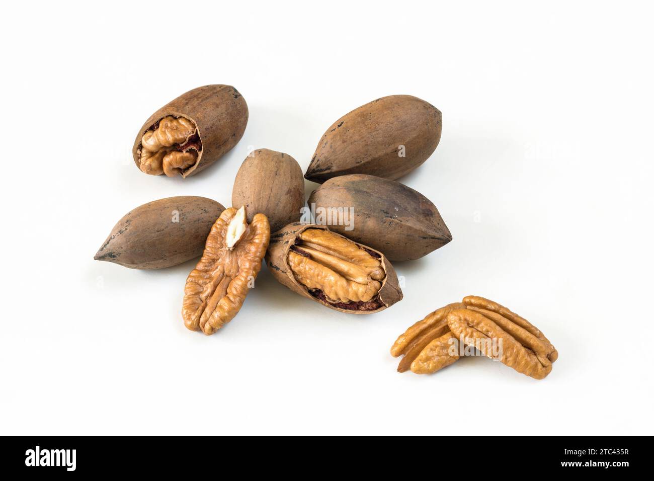 Assortment of peeled and shelled Pecan nuts on white background Stock ...