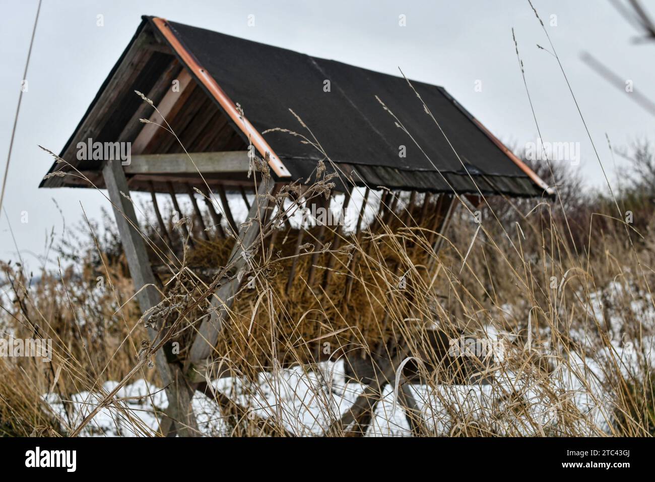 Hay feeder rack hi-res stock photography and images - Alamy