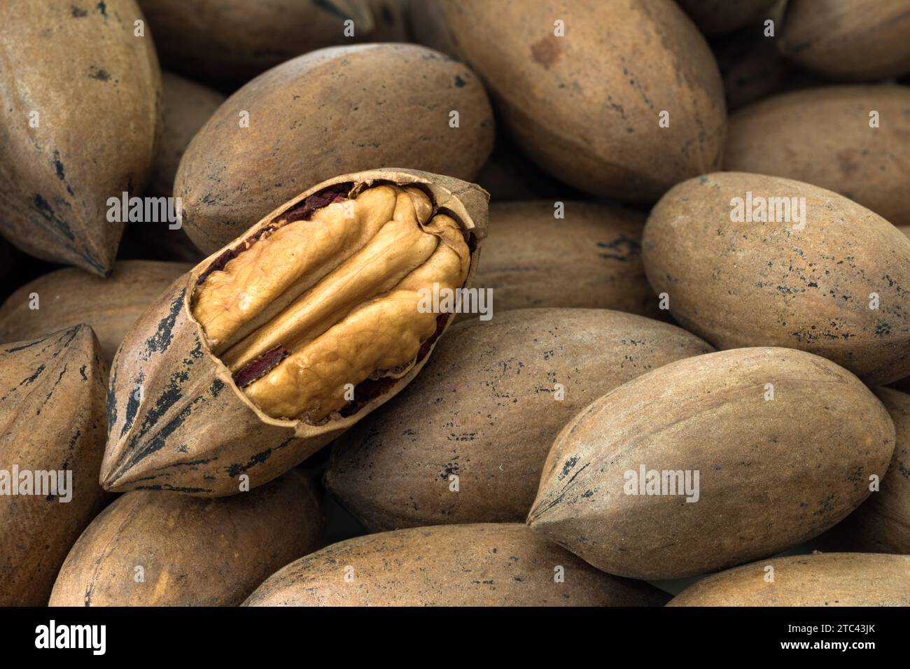 Shelled and unshelled nuts hi-res stock photography and images - Alamy
