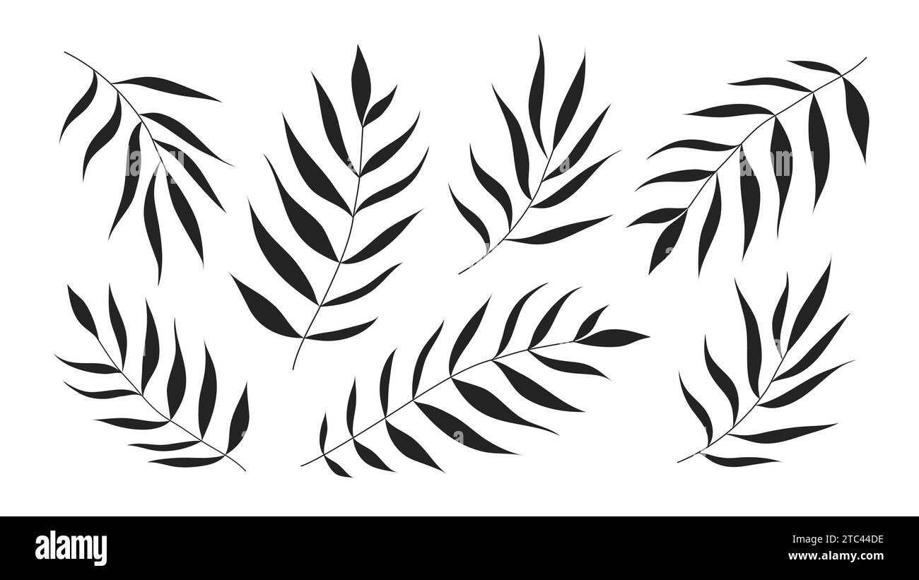 Black palm leaves isoted on white background. Black silhouette vector ...