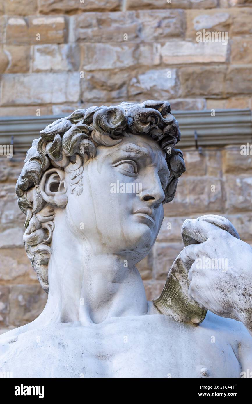 Detail renaissance statue david michelangelo hi-res stock photography ...