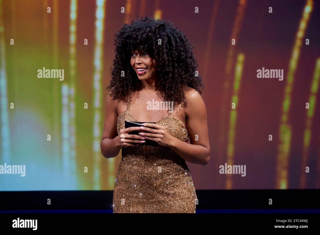 Septimius awards hi-res stock photography and images - Alamy