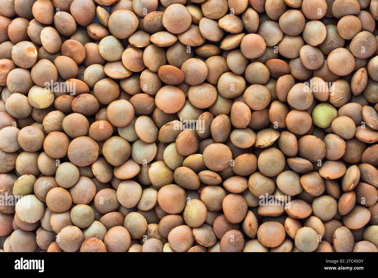 Close up detail of texture hi-res stock photography and images - Alamy