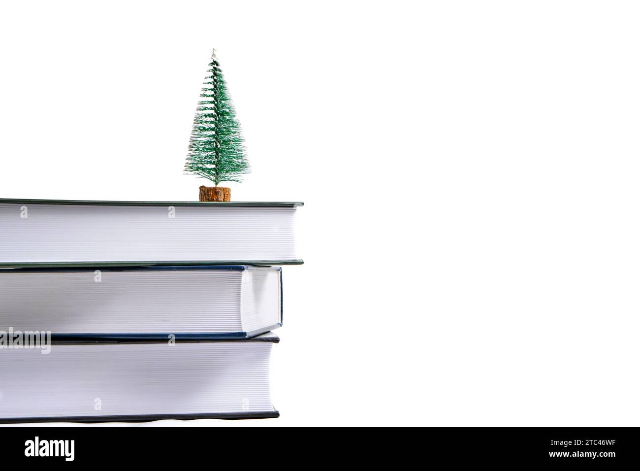 Small Christmas tree on stack of books white background Stock Photo - Alamy