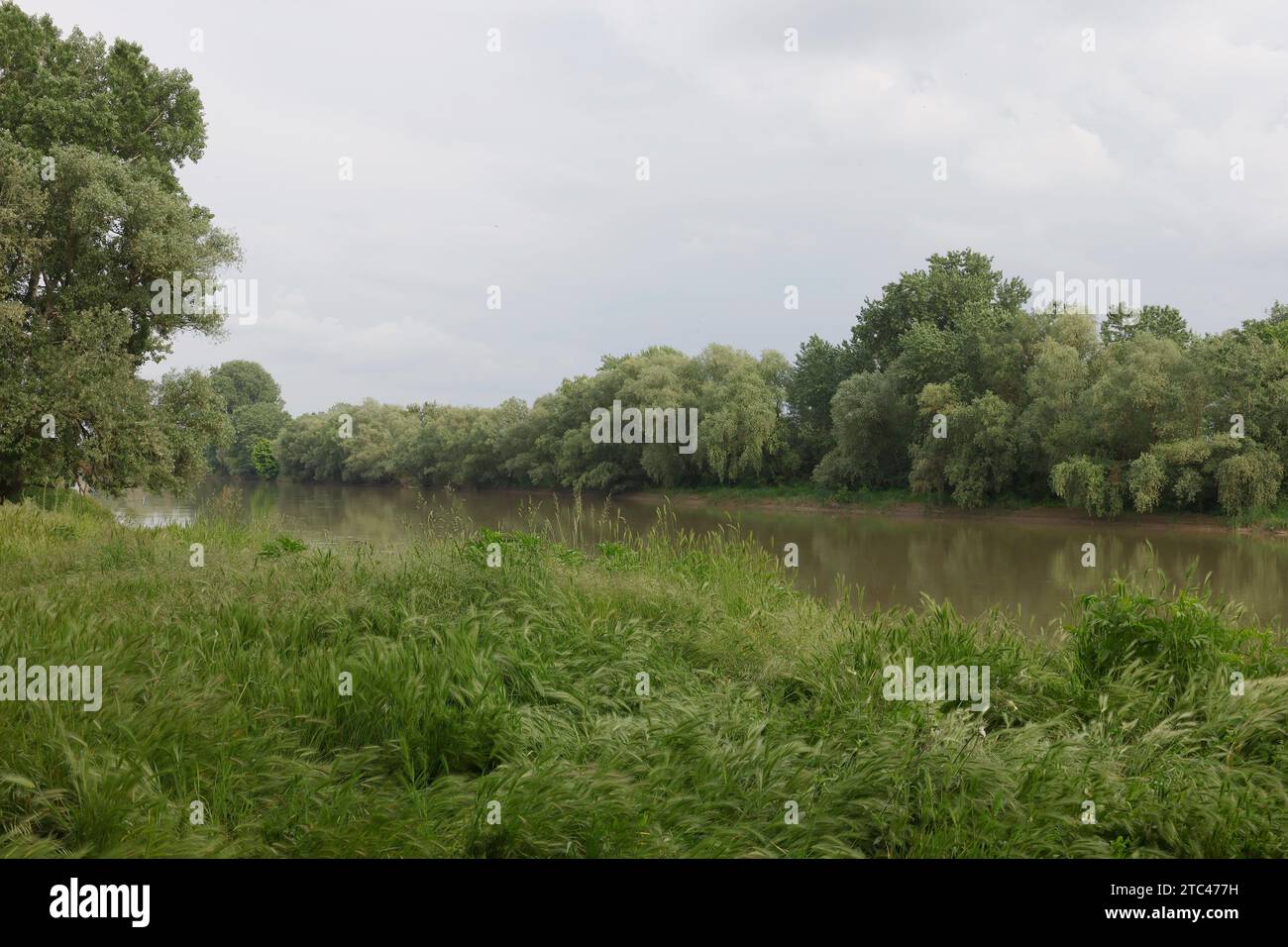 Lunca muresului hi-res stock photography and images - Alamy