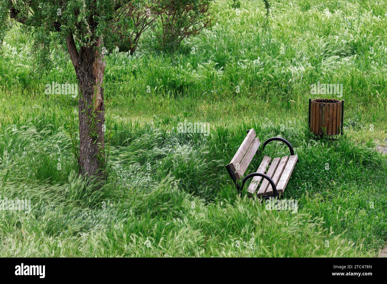 Lunca muresului hi-res stock photography and images - Alamy