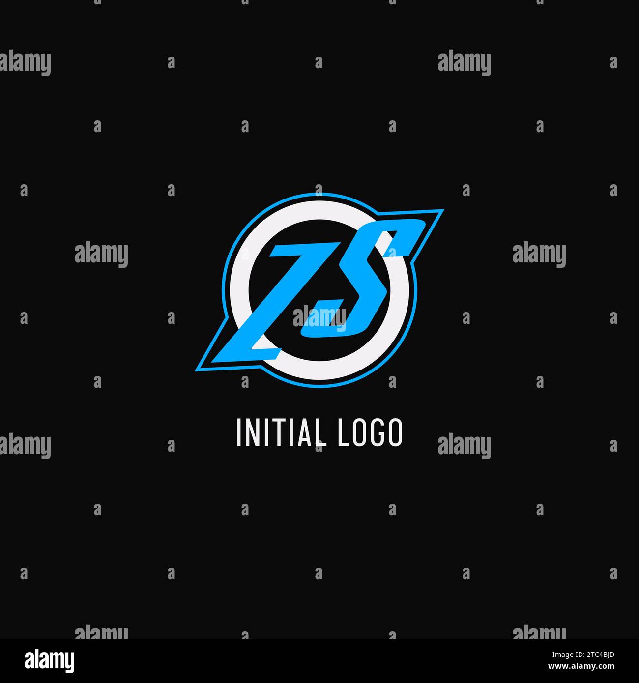 Initial ZS logo circle line, creative esport team logo monogram style ...