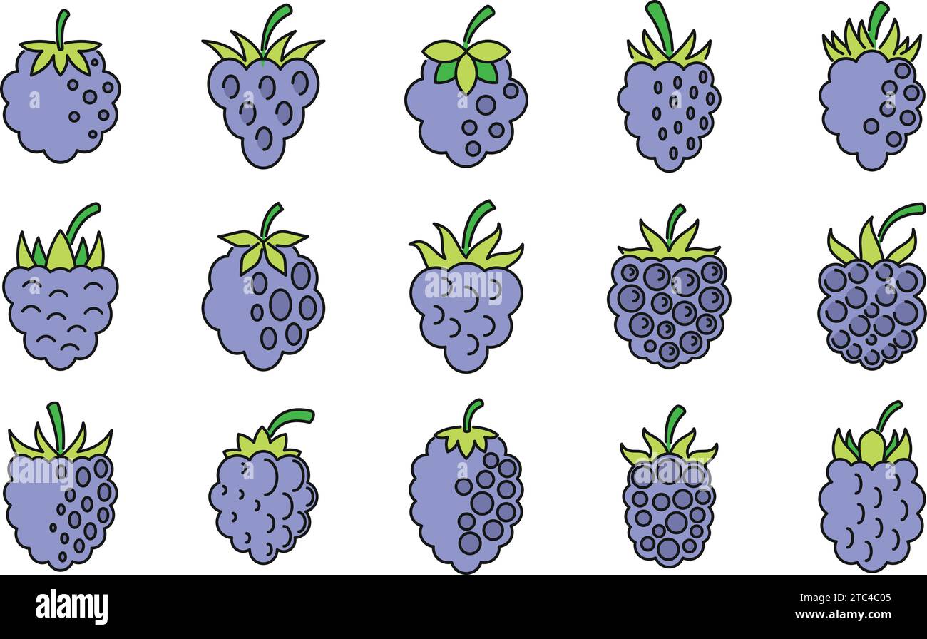 Raw blackberry icons set. Outline set of raw blackberry vector icons ...