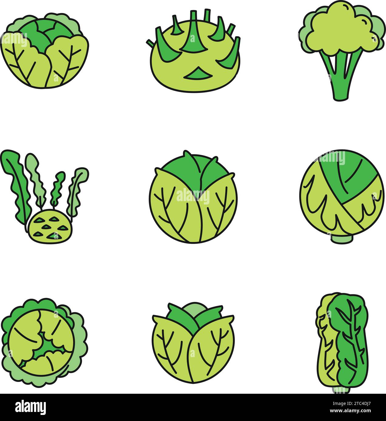 Agriculture Cabbage Icons Set Outline Set Of Agriculture Cabbage