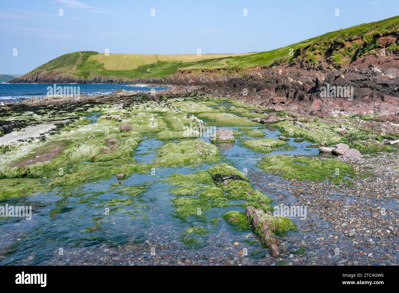 Mossy rocks and rock pools on edge of Manorbier beach Pembrokeshire ...