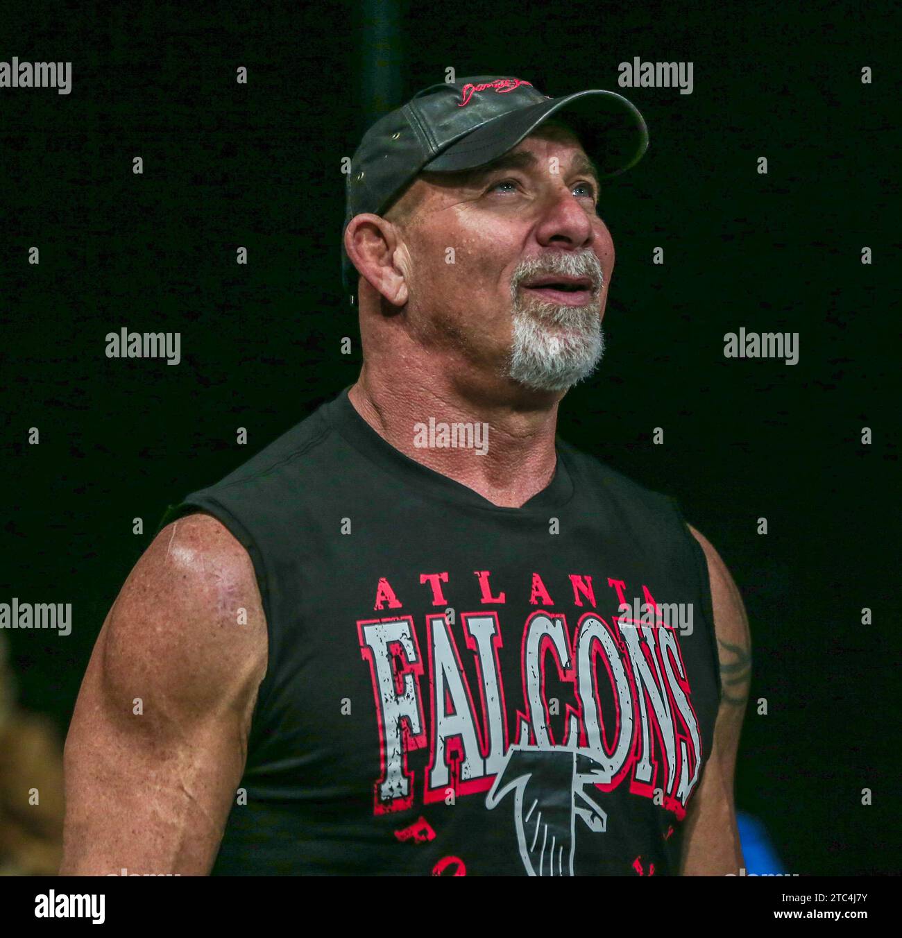 Atlanta, Georgia, USA. 10th Dec, 2023. American professional wrestler ...