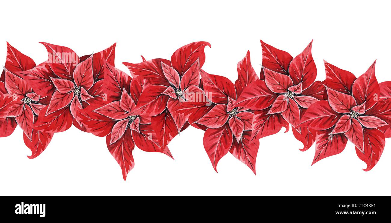 Christmas seamless border with poinsettia flowers, hand painted ...