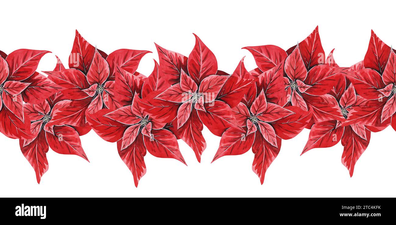 Christmas seamless border with poinsettia flowers, hand painted ...