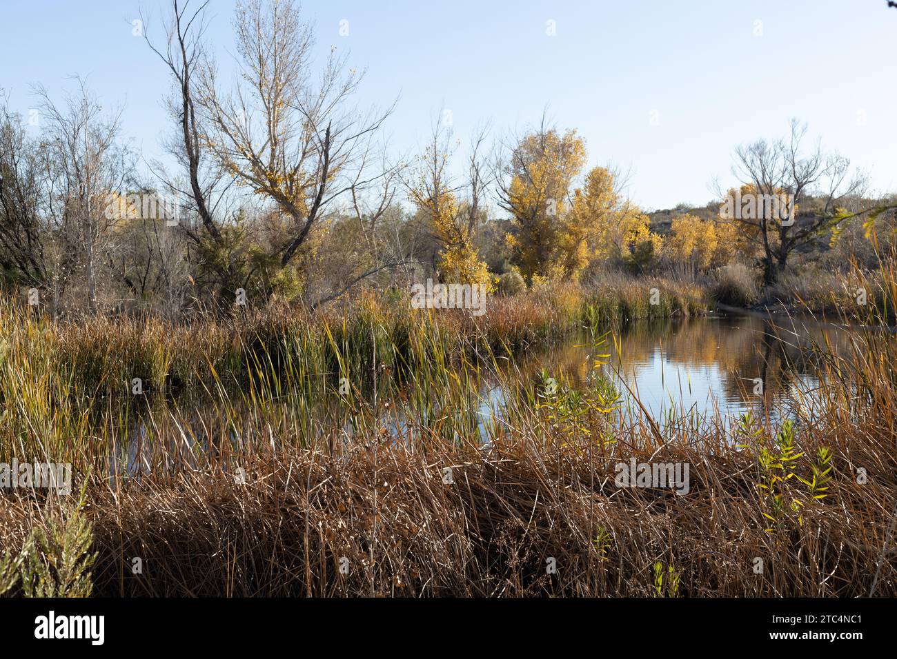 Nevada desert water hi-res stock photography and images - Alamy