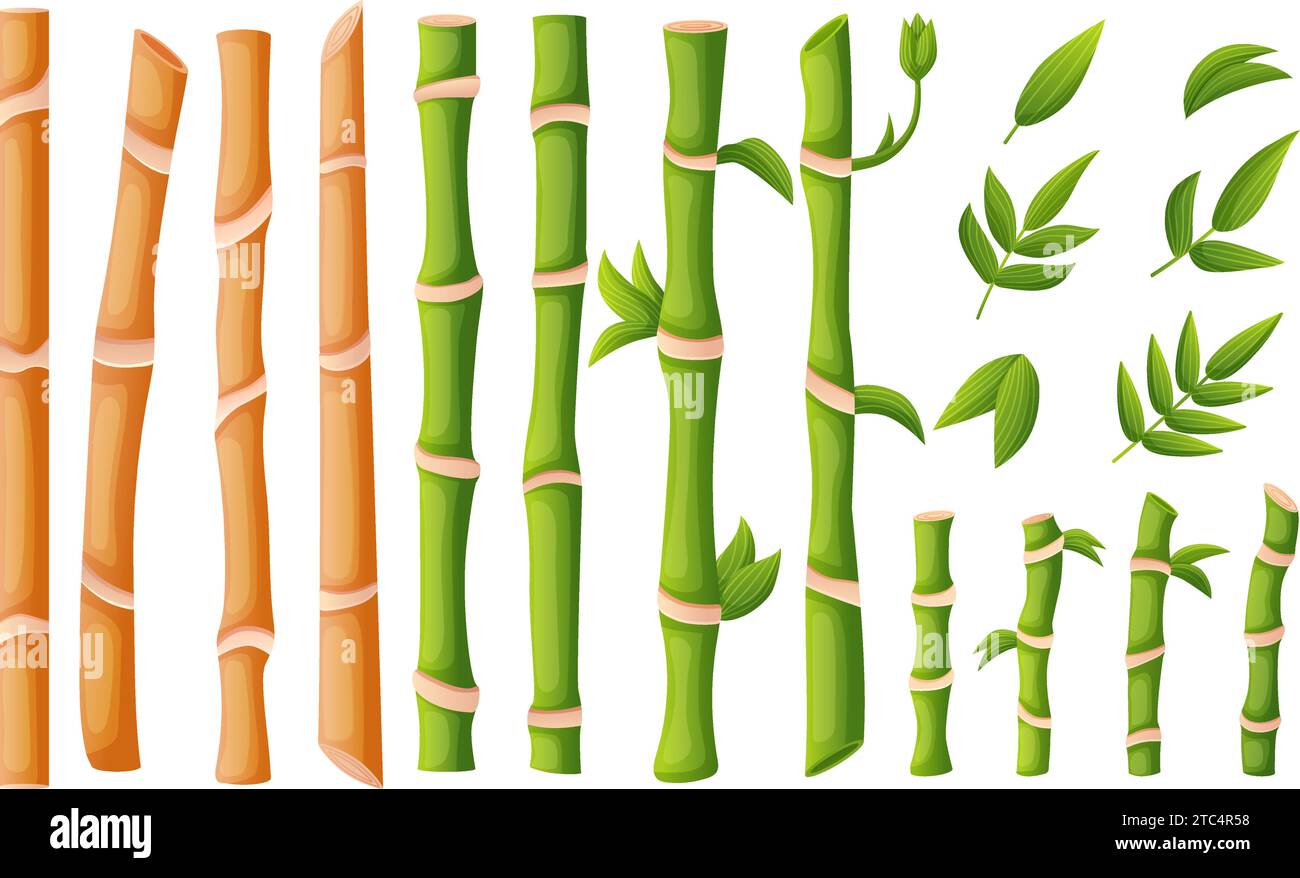Asian bamboo plants and stems. Cartoon isolated bamboo stalks with ...