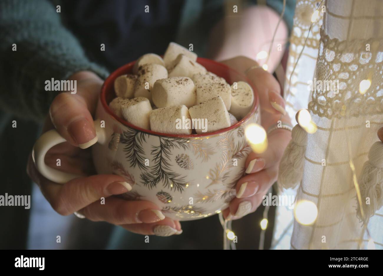 Cup of hot cocoa Stock Photo - Alamy