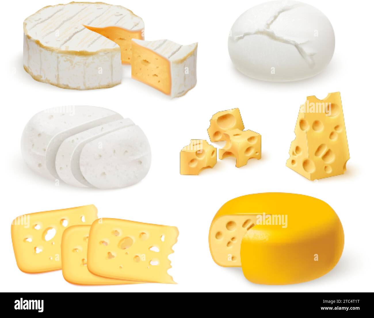 Realistic cheese. 3d Cheeses kinds, slice piece and whole cheddar hard ...