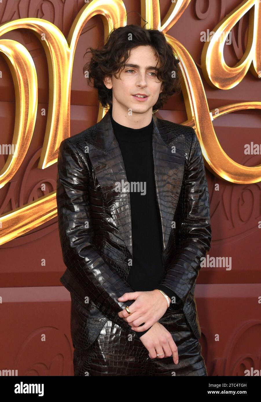 Los Angeles, Ca. 10th Dec, 2023. Timoth e Chalamet at the premiere of Wonka at the Regency ...