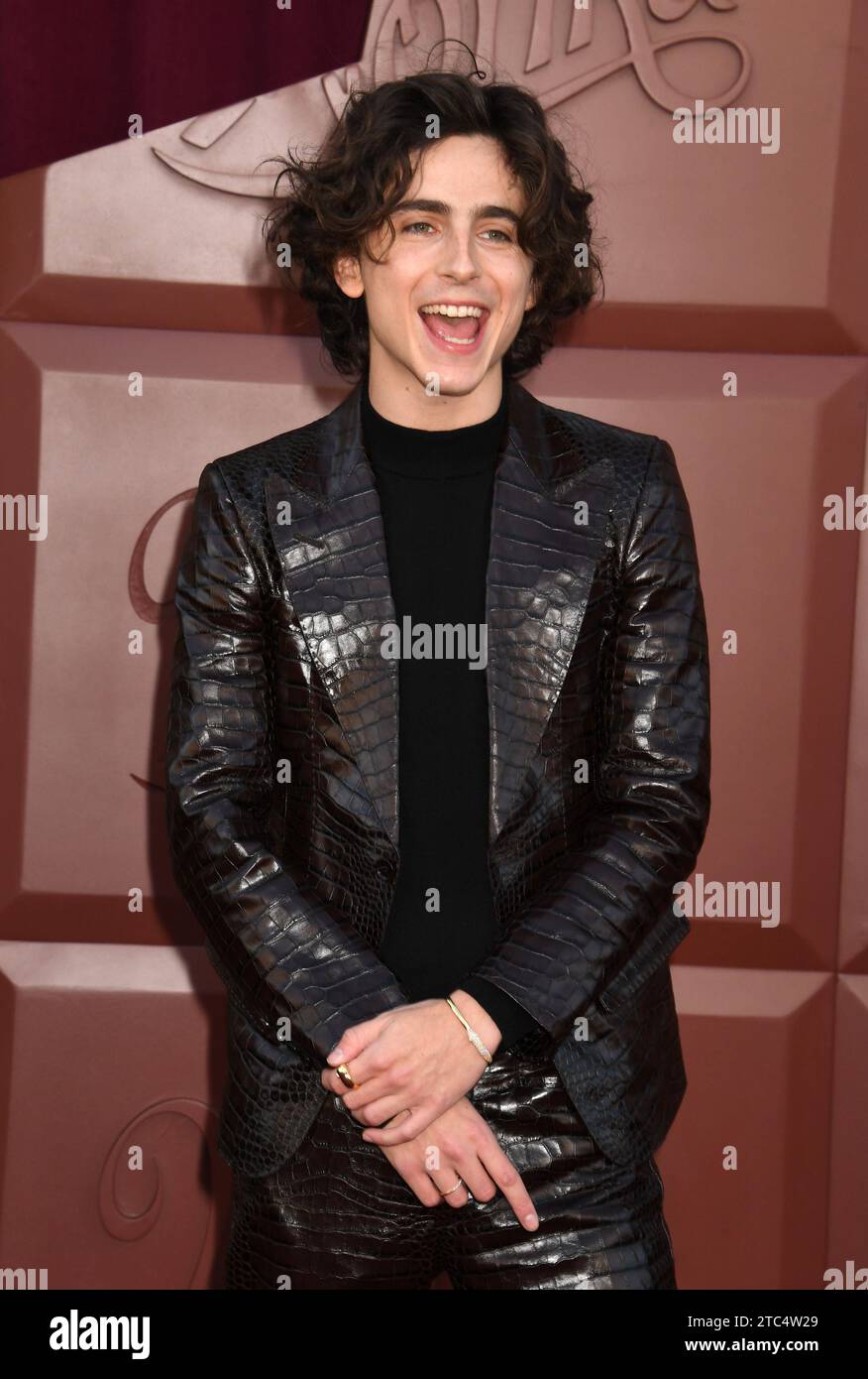 Los Angeles, Ca. 10th Dec, 2023. Timoth e Chalamet at the premiere of ...