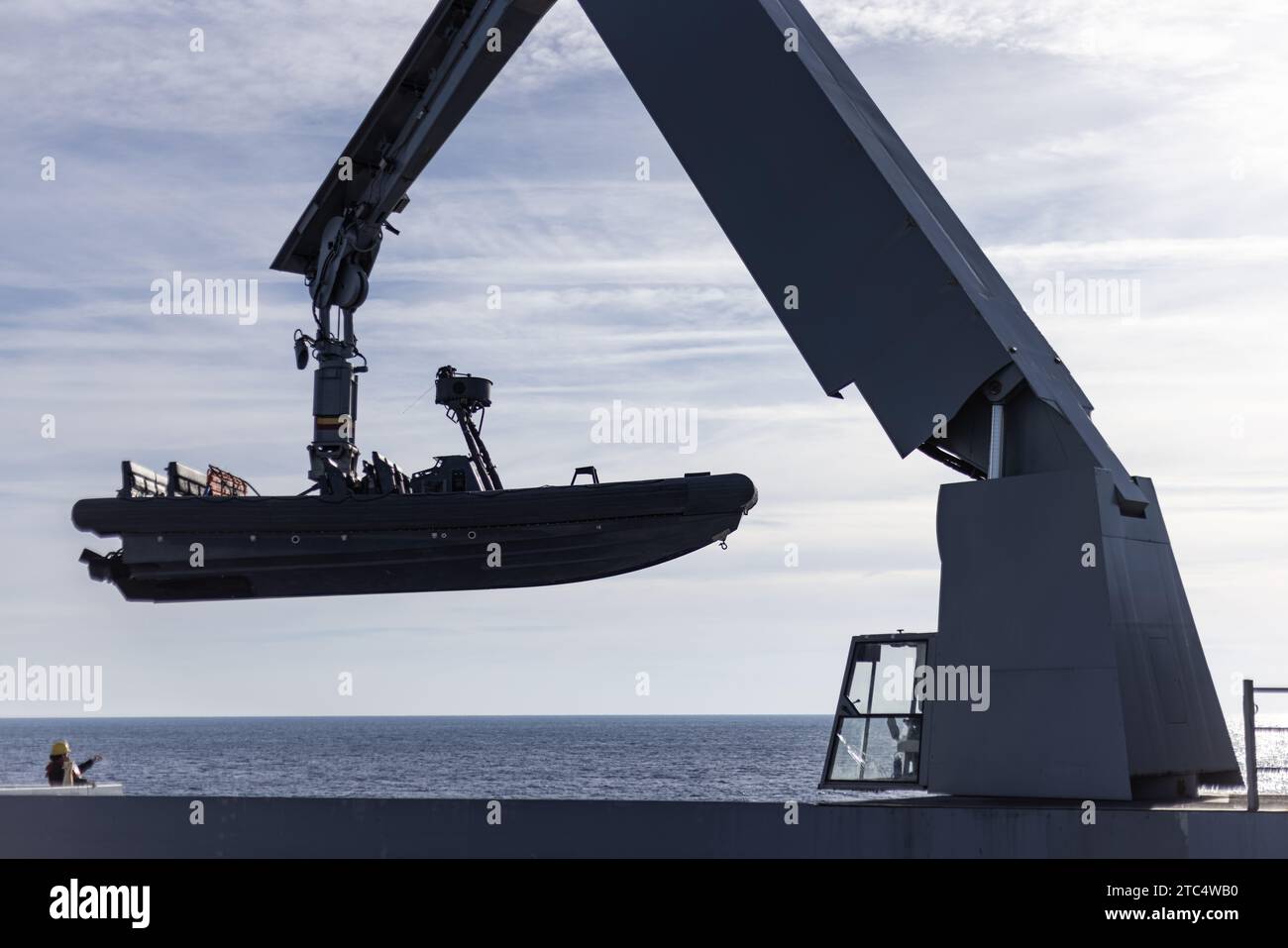 Crane wasp hi-res stock photography and images - Alamy