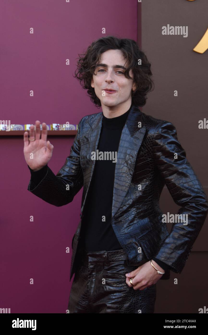 Los Angeles, California, USA 10th December 2023 Actor Timothee Chalamet ...