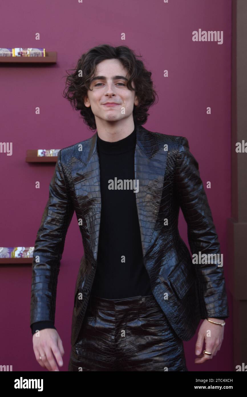 Los Angeles, California, USA 10th December 2023 Actor Timothee Chalamet ...