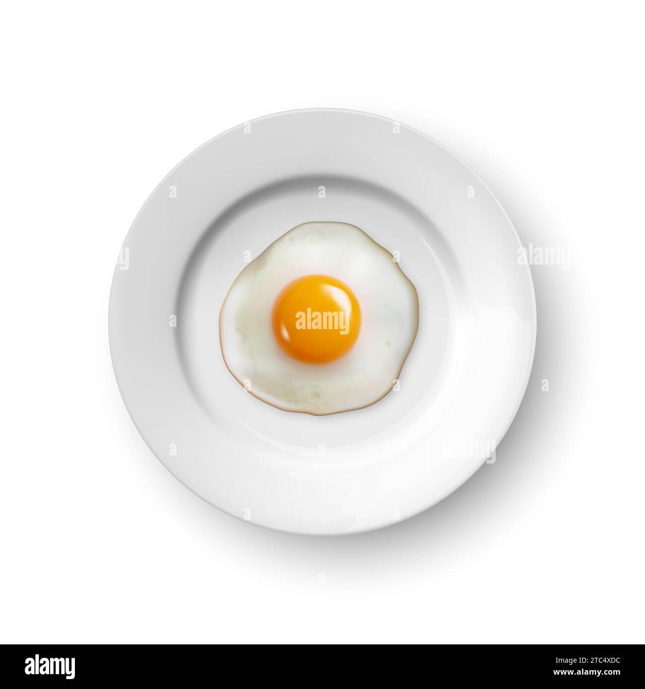 Realistic Vector 3d Fried Egg on a Dish Plate Closeup Isolated in Top ...