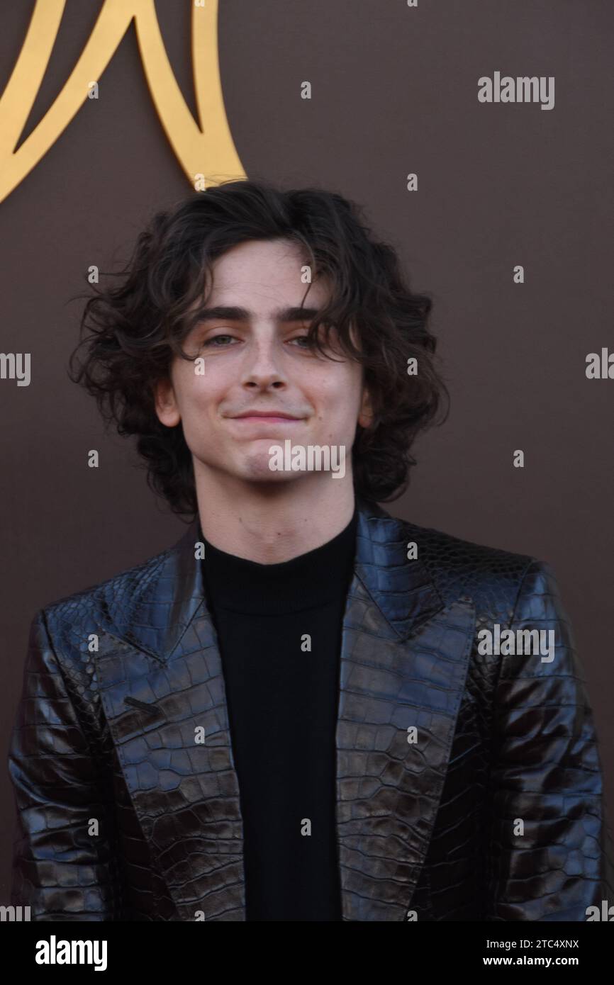 Los Angeles, California, USA 10th December 2023 Actor Timothee Chalamet attend Warner Bros ...