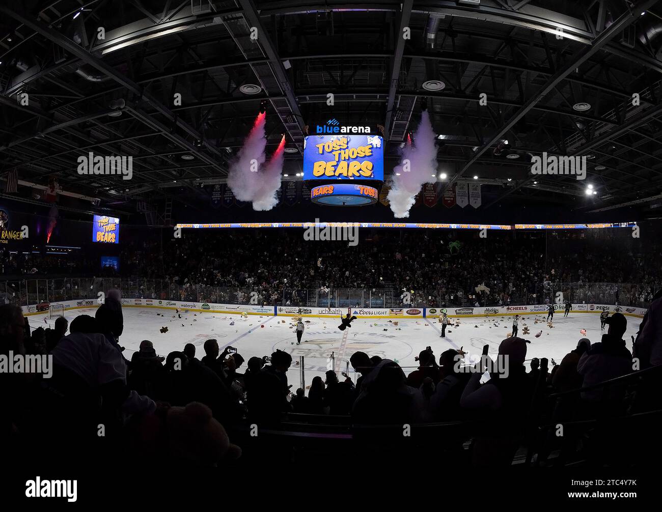 Ice hockey bears hi-res stock photography and images - Alamy